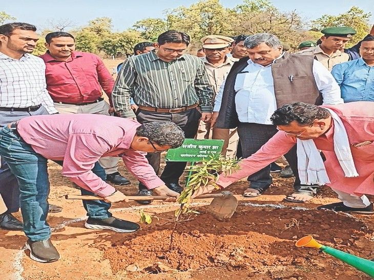 Inauguration of tree wealth scheme by planting on beneficiary's land in ...