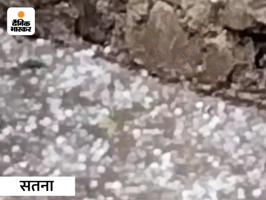 Madhya Pradesh Weather Forecast; Bhopal Indore Rainfall Situation ...