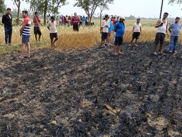 Wheat of 5 bighas burnt to ashes, after hard work the surrounding crops ...