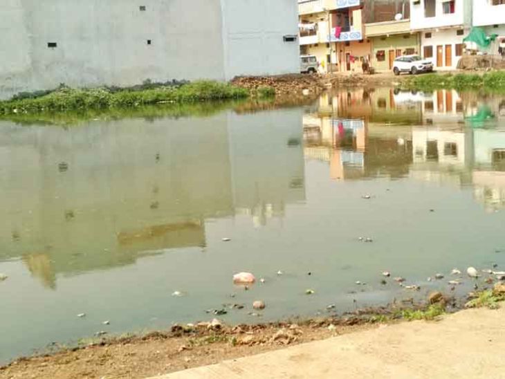 Mini ponds made of empty plots of colonies are prone to spread of ...