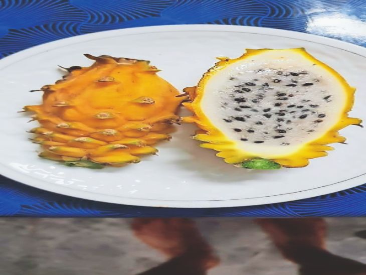 Learning from Vedas, organic fertilizer made from stones, cow urine and ...