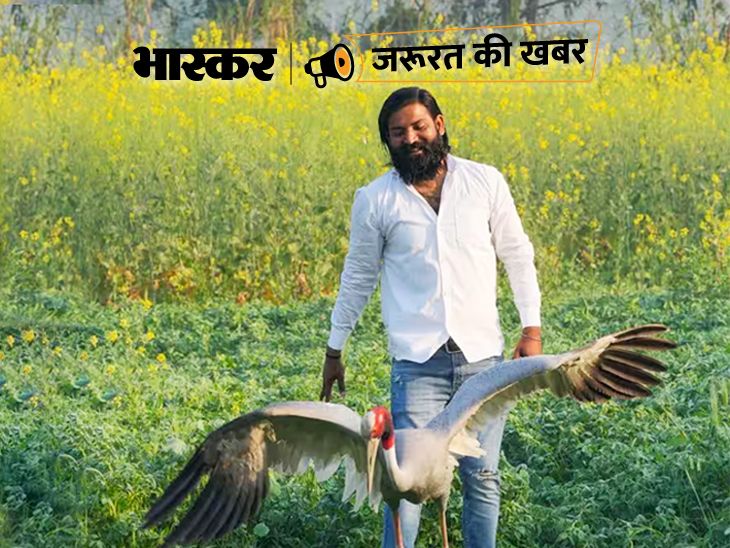 UP Arif Khan Saras Case; Indian Animal Protection Laws Explained ...