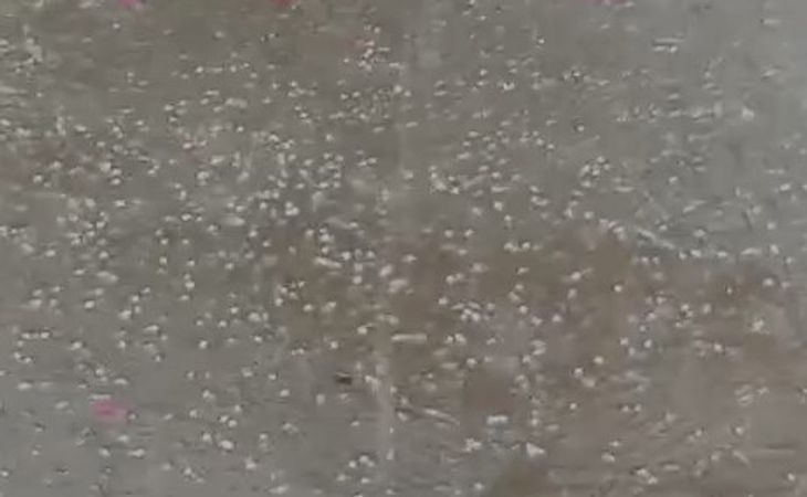 Hail fell in the rural areas of Vidisha, the weather changed for the ...
