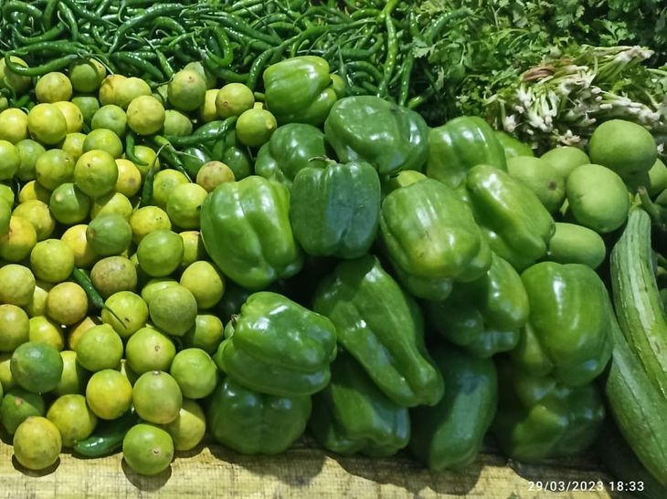 Lemon for 10 rupees, bitter gourd 90 and okra 80 rupees, zucchini ...