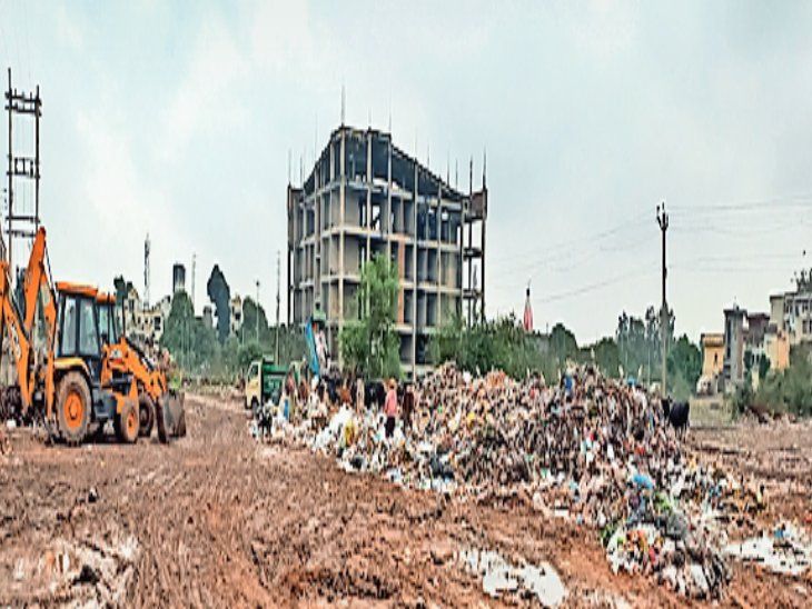 There was no relief even after the tender at the cluster level, Sector ...