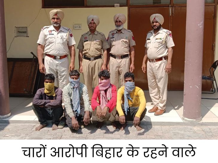 Kapurthala news : Cow Calf Rape, Four Accused Arrest, Naran Singh ...