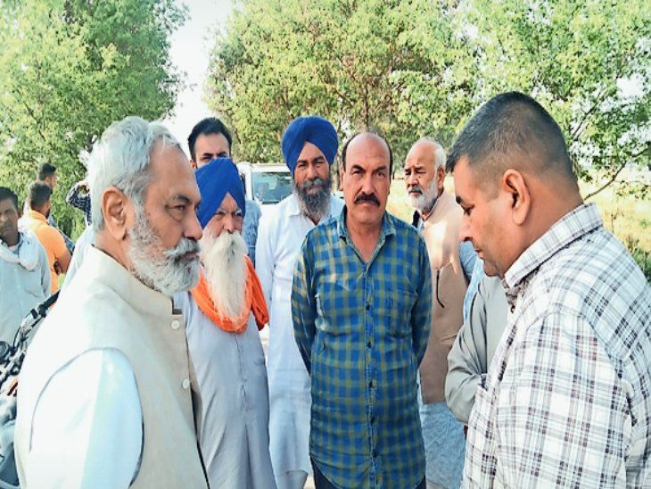 Government should get special girdawari done for crops damaged by ...