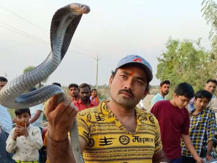 Snake friend took out the snake safely, left it in the forest