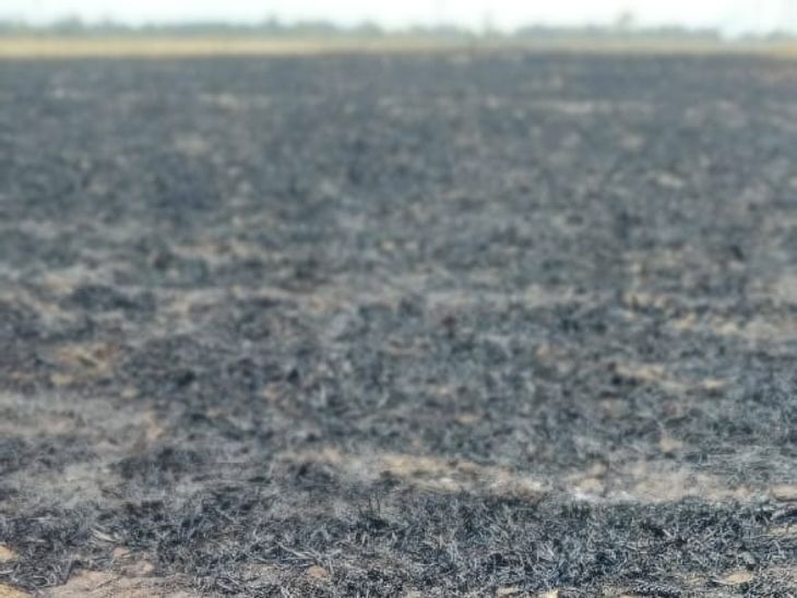 22 bigha crops of 8 farmers burnt to ashes, victims sought compensation ...