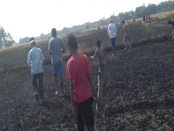 Hundreds of bighas of crops burnt to ashes, three dozen farmers lost lakhs
