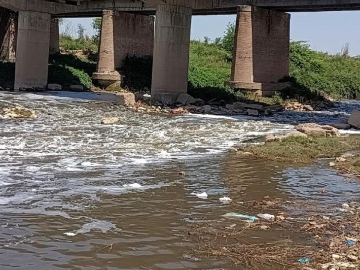 Kaithal Ghaggar river water poisonous
