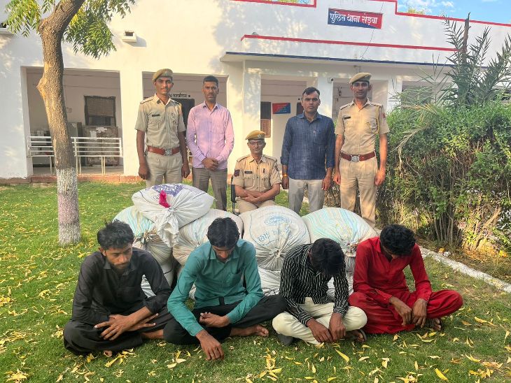 rajasthan barmer sedwa police arrest 4 thief, 9 sacks of cumin stolen ...