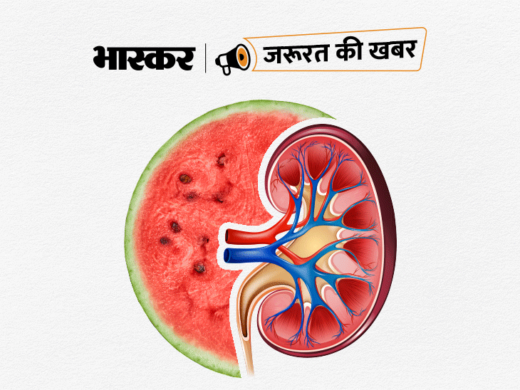 Watermelon Side Effect Explained; Tarbuj Aur Kharbuja Khane Ke Fayde ...