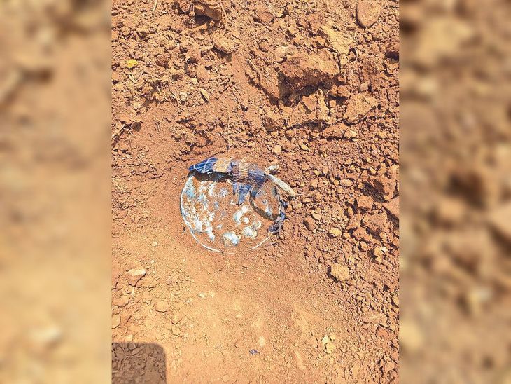 Naxalites are also becoming speechless victims of IED bombs laid, two ...