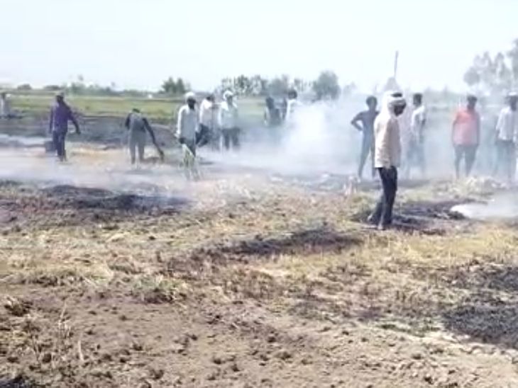 Seven bighas of wheat crop burnt to ashes, farmers demanded compensation