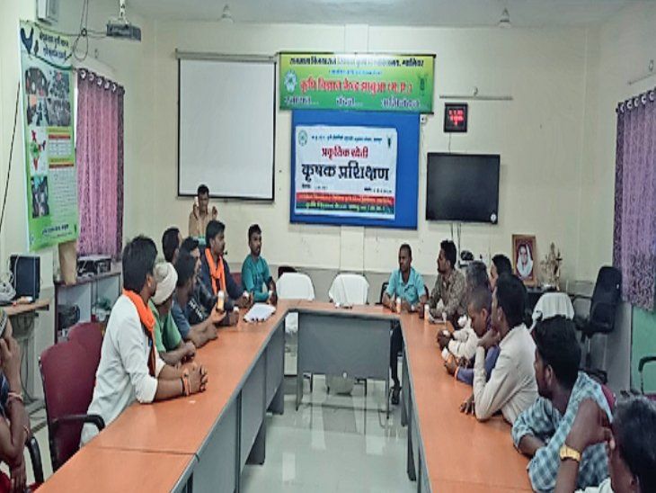 Dr. Tomar said – To increase the fertility of the land, apply cow dung ...