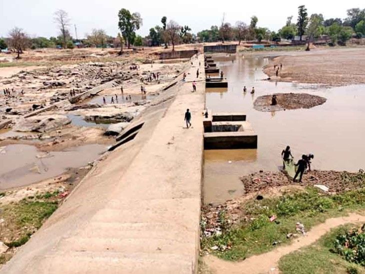Anicut's gate on 'Kanhar' was damaged, became empty in 36 hours, now a ...