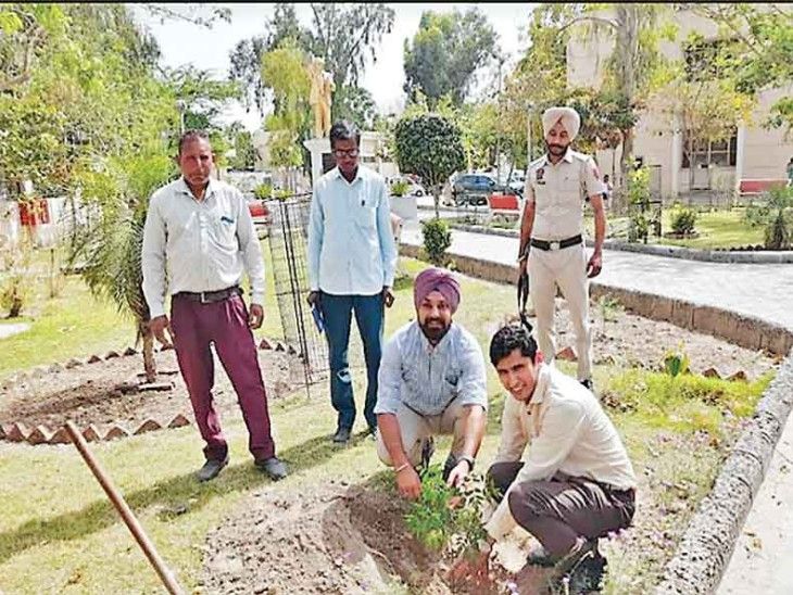SDM planted a sapling in the District Administrative Complex | एसडीएम ...