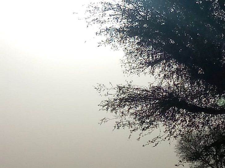 Winds likely to blow at a speed of 40 to 50 kmph, weather will change ...