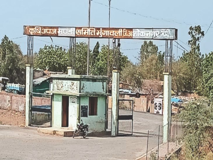 Mandi tax evasion was curbed and revenue of four lakh 30 thousand was ...