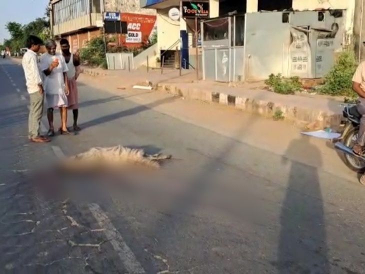 Jarakh died due to a collision with an unknown vehicle on the highway ...