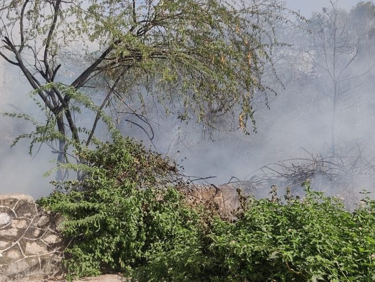 The fire broke out due to unknown reasons and was brought under control with the help of the ...