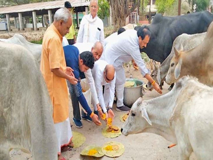 Bhandara of cows... served whole-vegetables and boondi in a plate