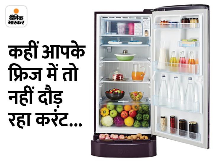 Udaipur Fridge Electrocution Death Reason Explained | Rajasthan News ...
