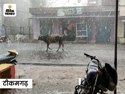Madhya Pradesh Rain News; Bhopal Indore | Jabalpur, Mandla Balaghat ...