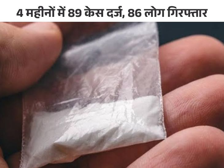 Kullu City Manali Police Arrested Kanpur UP Resident Drug Smuggler With ...