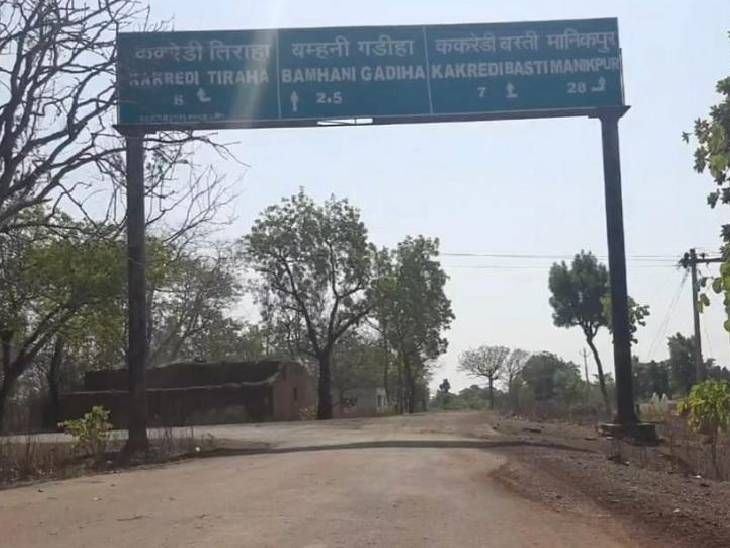Old woman skeleton found in Rewa forest: went missing 20 days ago ...