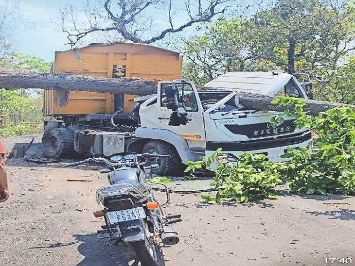 Tree fell on coal load trailer, driver stuck in cabin, admitted with ...