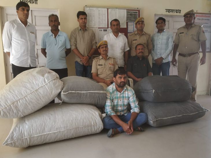 rajasthan barmer dhorimana police arrest one accused, 85 kg doda-poppy ...