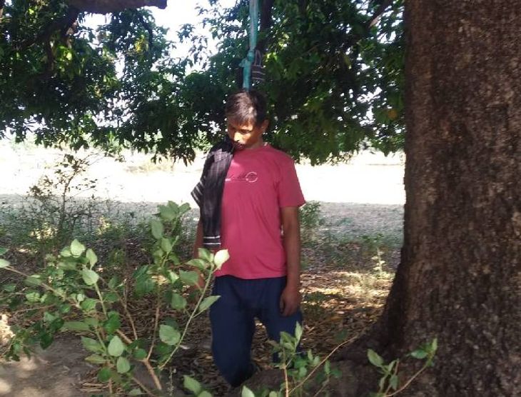 Youth commits suicide in Rewa: Hanged himself in a mango tree, the ...