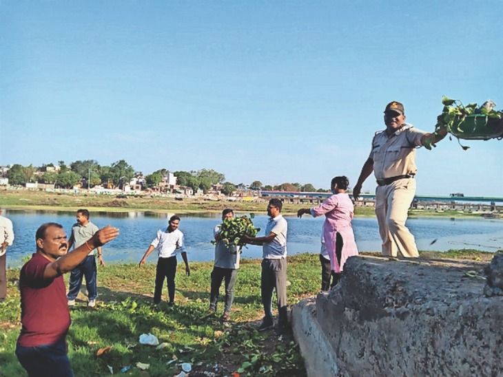 Water hyacinth removed from the shovel, if every section is cleaned ...