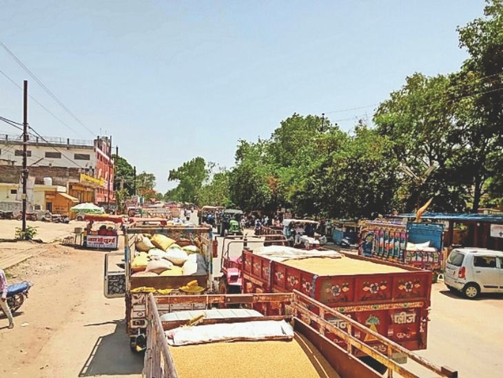 Long queue of produce vehicles on Kannod Road, shopkeepers ...