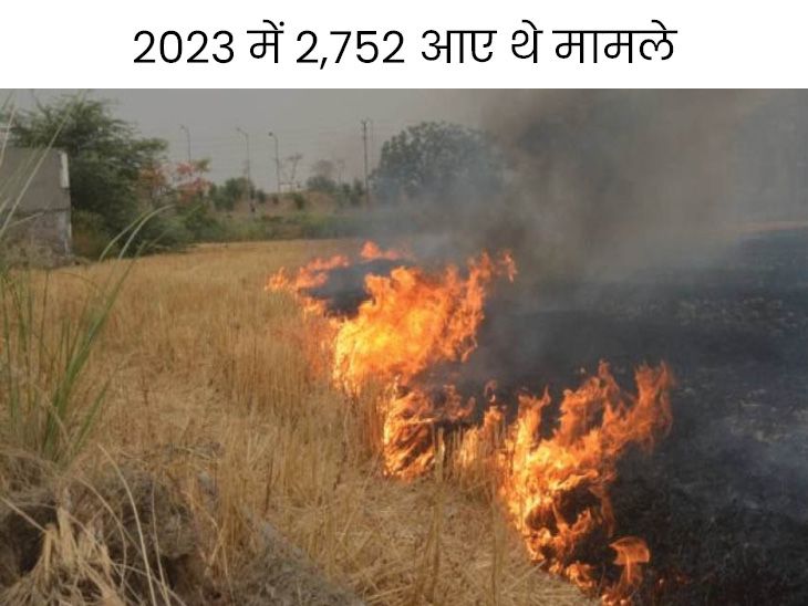 Haryana wheat residue fire incident update Stubble Fire Incidents ...