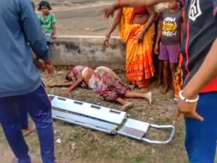 An elderly woman was crushed to death by a tusk elephant in Balod, the ...
