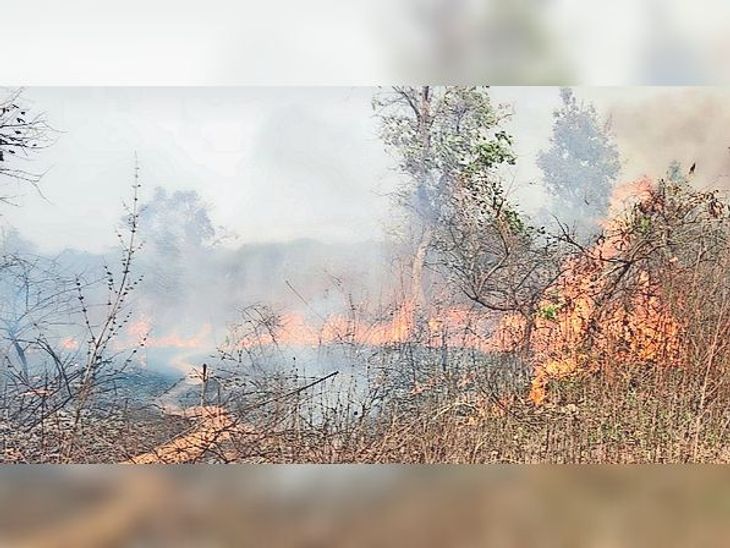 Bigha forest fire, fear of reaching homes