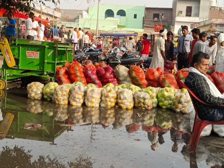 Angry jobbers shouted slogans, farmers of 20 villages come to sell ...