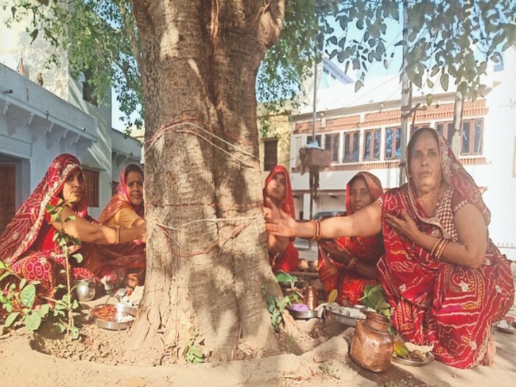 Fasted and worshiped banyan tree for husband's long life | वट सावित्री ...