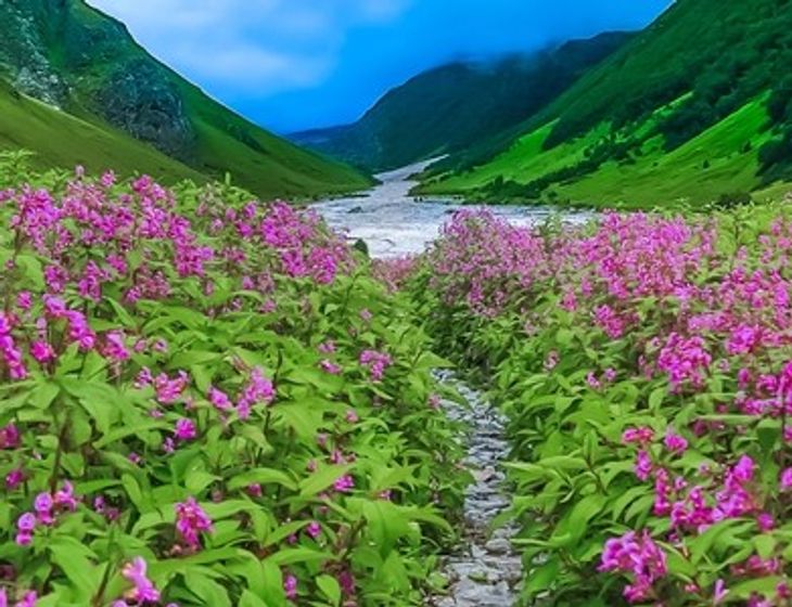 Valley of Flowers: More than 500 types of flowers bloom | रसरंग में ...