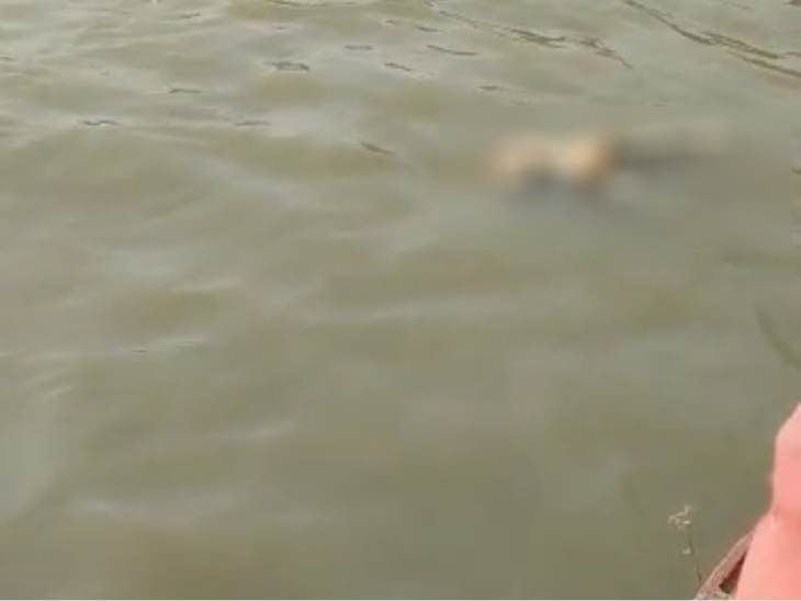 The bodies were badly decomposed, could not be identified, the police ...