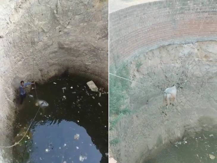Risking his life, the young man landed in the well, saved his life by ...