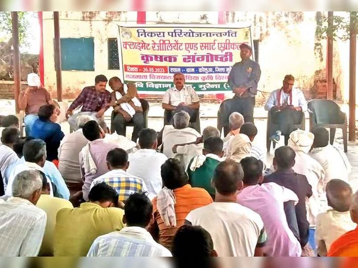 Farmers save the environment by doing natural farming | प्राकृतिक खेती ...