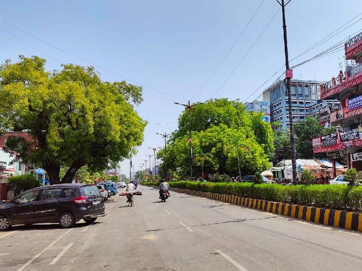 ree tree plan updates : Unique free tree scheme started to make Kumbh ...