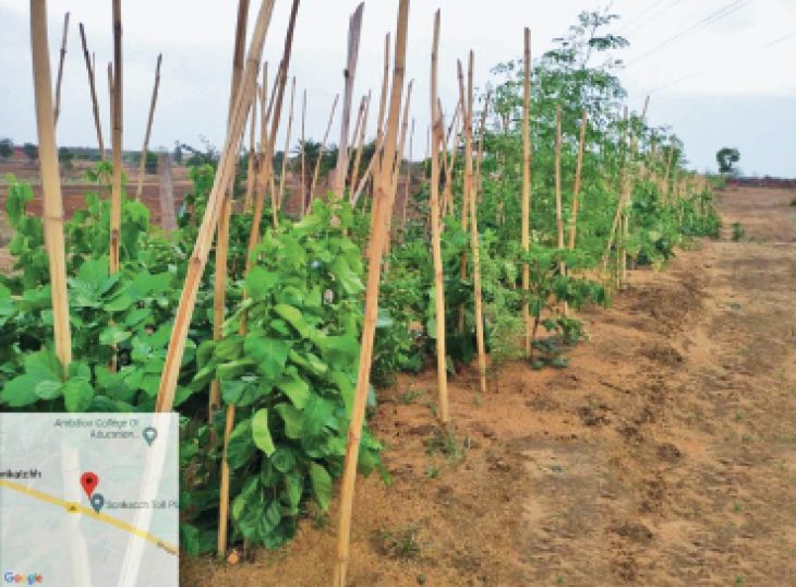 Road water harvesting at 300 places on Bhopal-Biaora National Highway ...