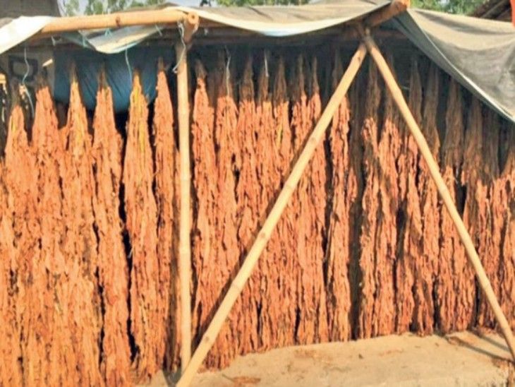 The population of Tirhut division is 2.25 crore and every month gutkha ...