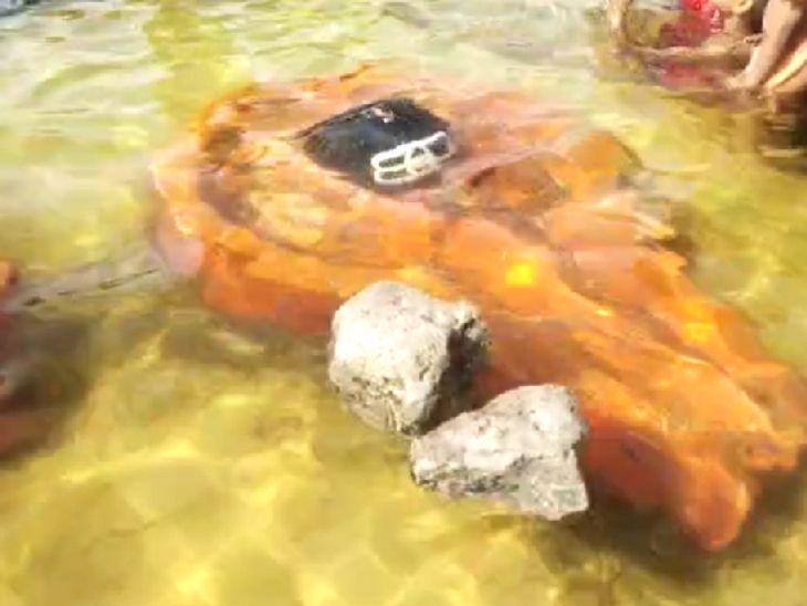 The Jilhari Ghat of the Narmada river has become a matter of curiosity ...