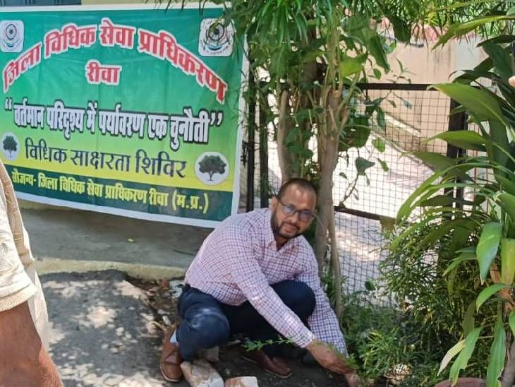 Secretary of District Legal Services Authority did tree plantation in ...